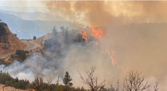 Bobcat Fire Grows to Nearly 24,000 Acres, Continues Moving Northeast ...