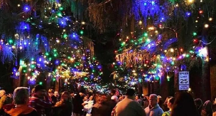 Altadena’s Christmas Tree Lane Returns for 105th Year After Fire Nearly ...
