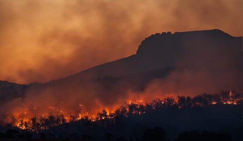High-Severity Wildfires Burn 30 Times More Area Than in 1985, UCLA ...